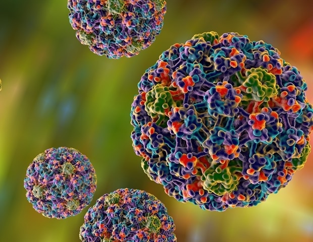hpv virus