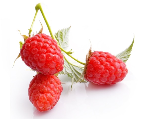 Study shows benefits of including red raspberries in the diet of people ...