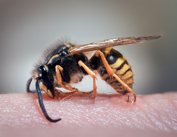 Treatment of insect bites