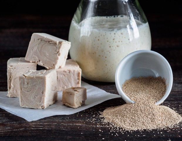 New study maps how cells allocate space to organelles during growth