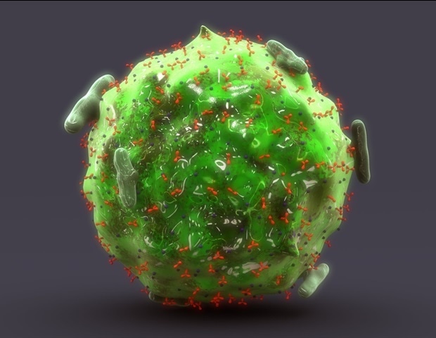 Potential new treatment for mast cell cancers reduces tumor size and ...