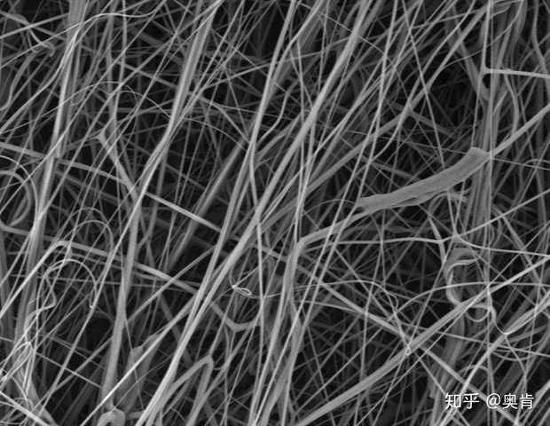 Using Fibrous Borate Bioactive Glass in Wound Healing