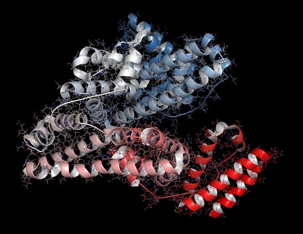 Albumedix announces recombinant human albumin supply partnership with ...