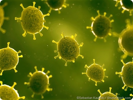 Virus Purification Methods