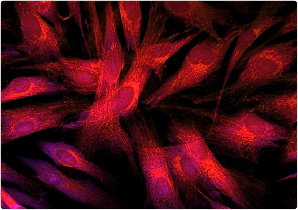 Biophotonics Software