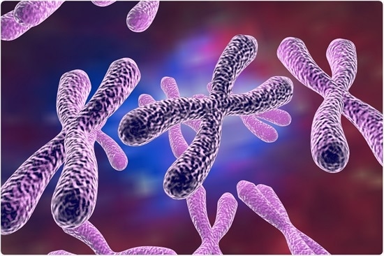 Telomerase discovery paves way for drug development