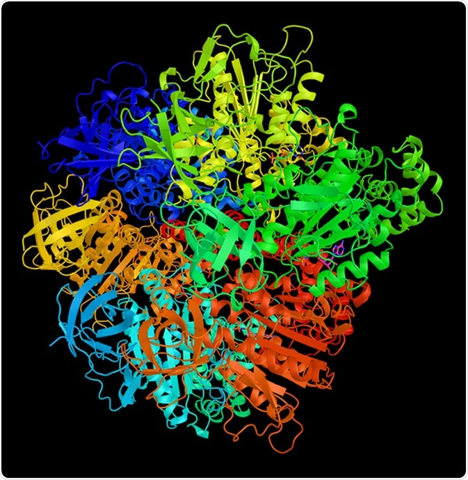 Mechanism of ATPase