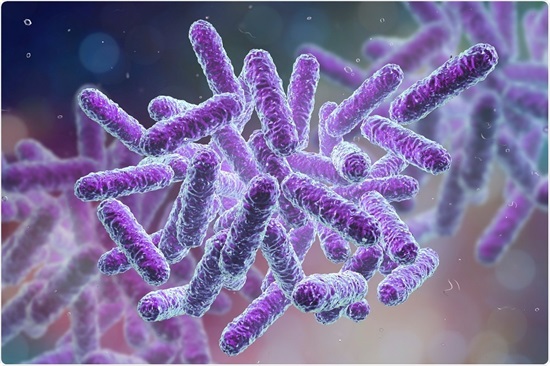 Single genetic change in gut bacteria can lead to obesity