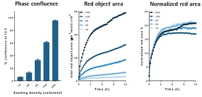 Cancer Drug Discovery Antibody Internalization Assays