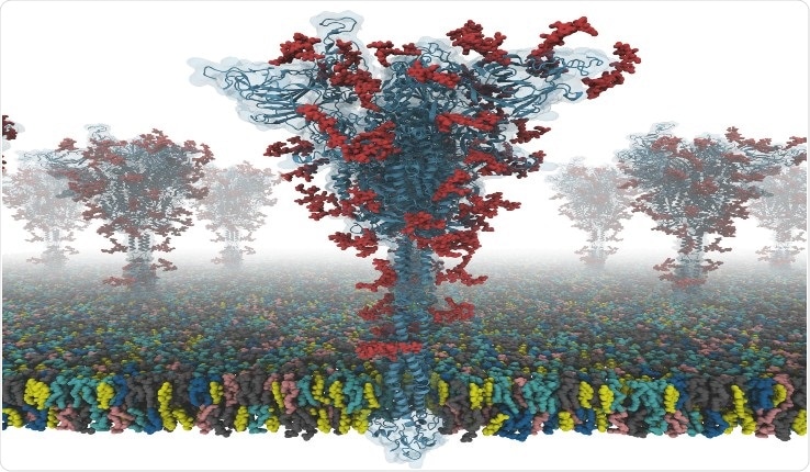 Scientists create 'all-atom' model of SARS-CoV-2 spike protein