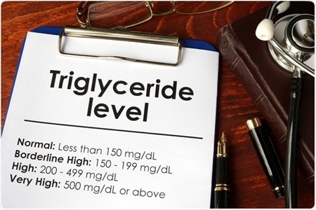 What are Triglycerides?