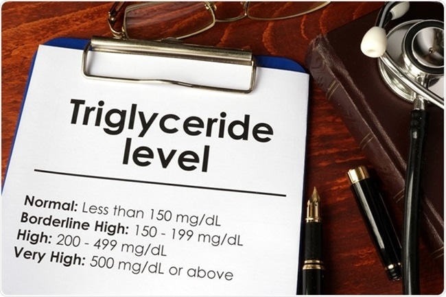 What are Triglycerides?