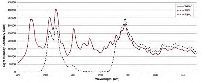 RIPA Buffers: Effects on Protein A280 Absorbance Readings