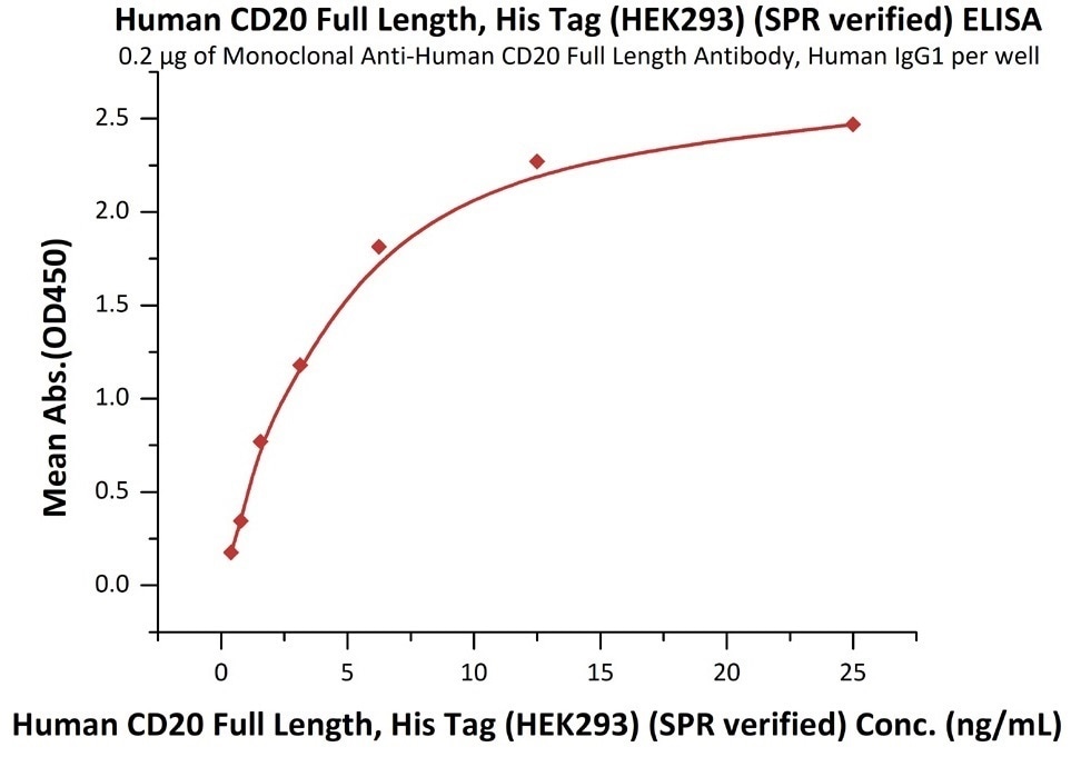 Antibody drug development: Targeting CD20 and CD3