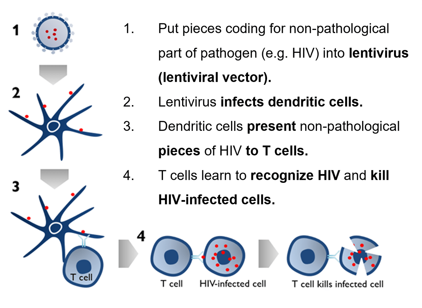 An introduction to lentiviral vectors