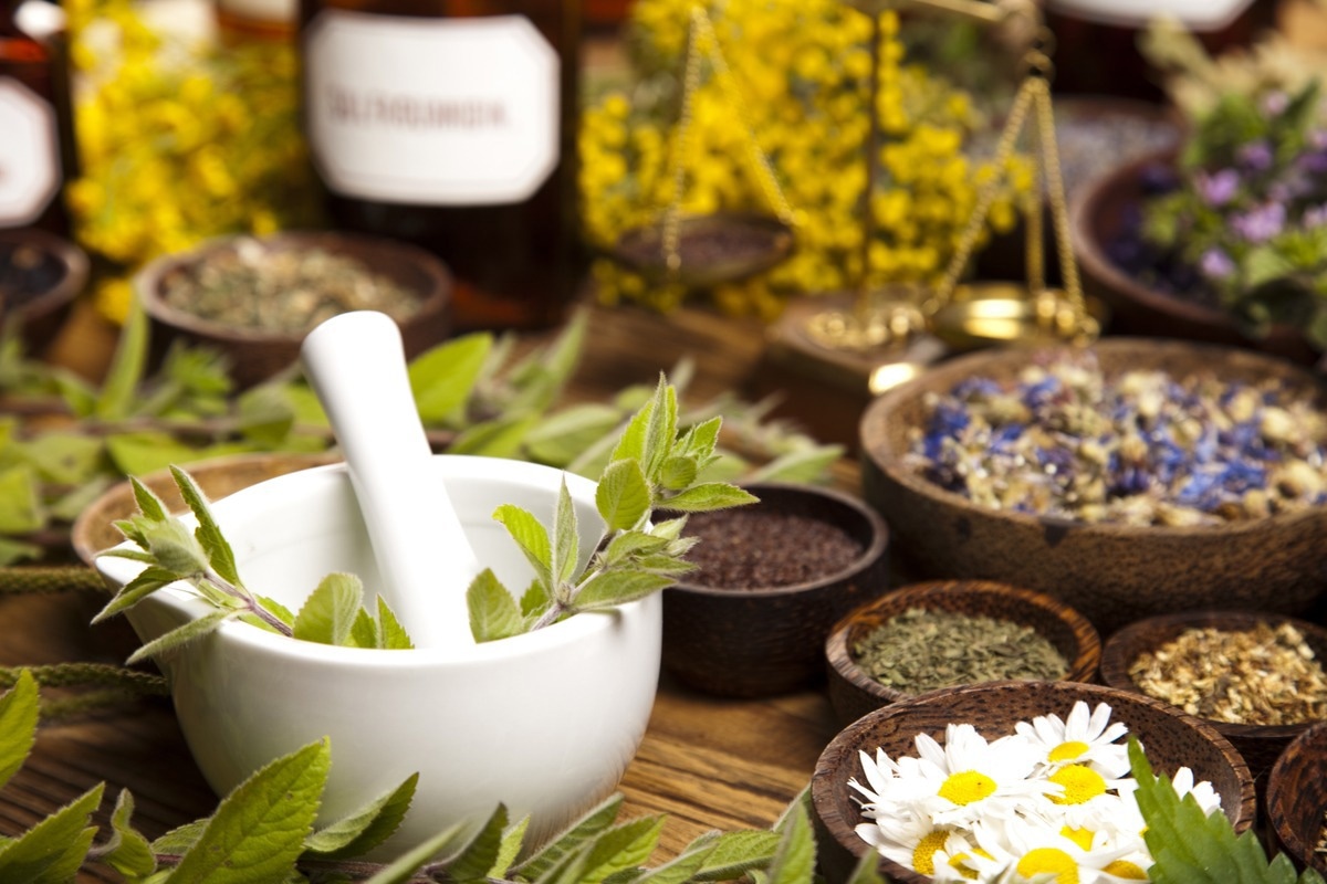 How has Ancient Medicine Informed Modern Medicine?