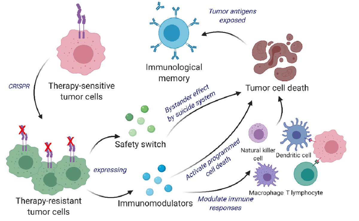 Scientists Develop a Cancer Vaccine to Simultaneously Kill and Prevent ...