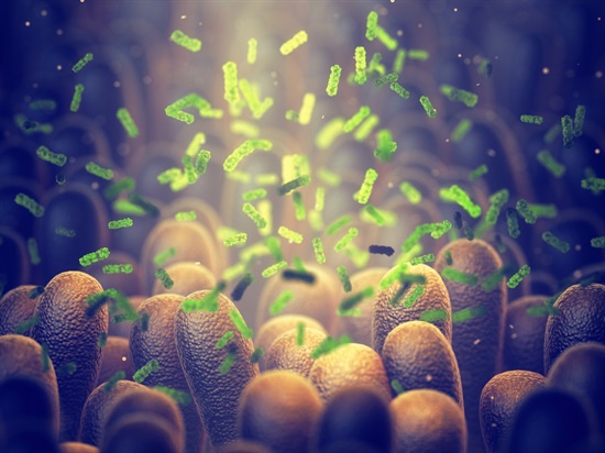 Food preservative nisin: A gut game changer that safely alters ...