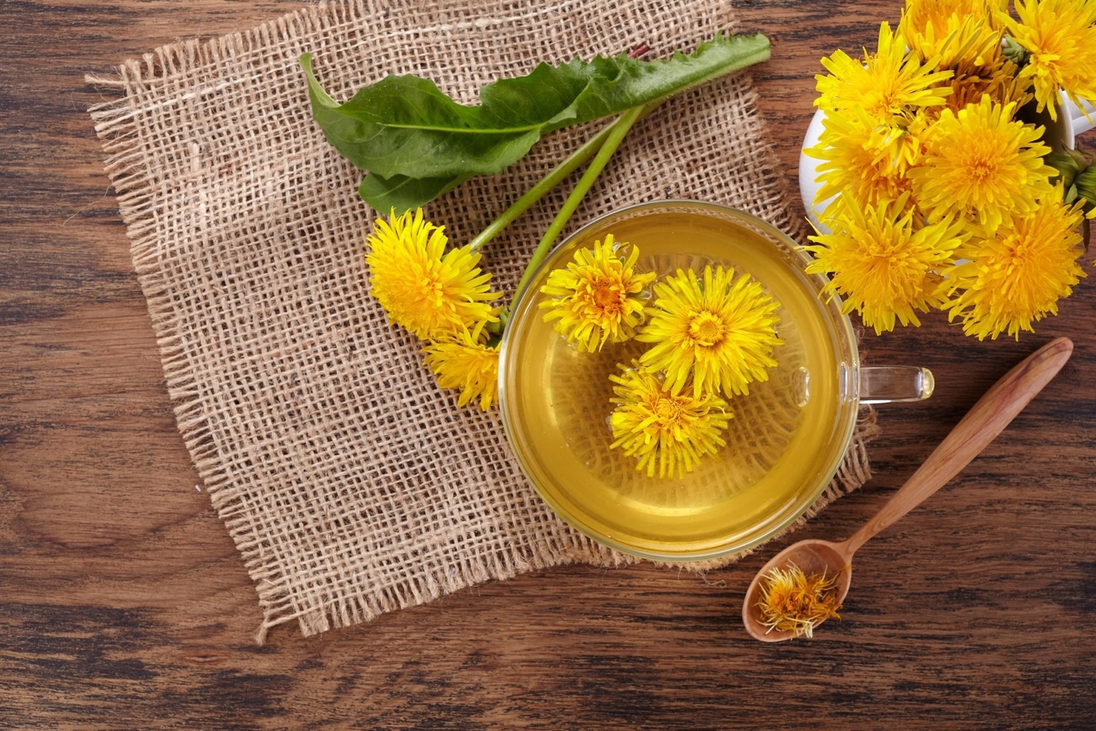 The anti-metastatic and anti-proliferation impact of dandelion extract ...