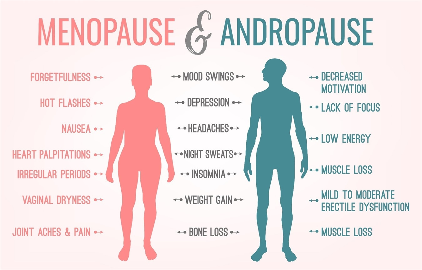 Andropause: Exploring the Male Menopause