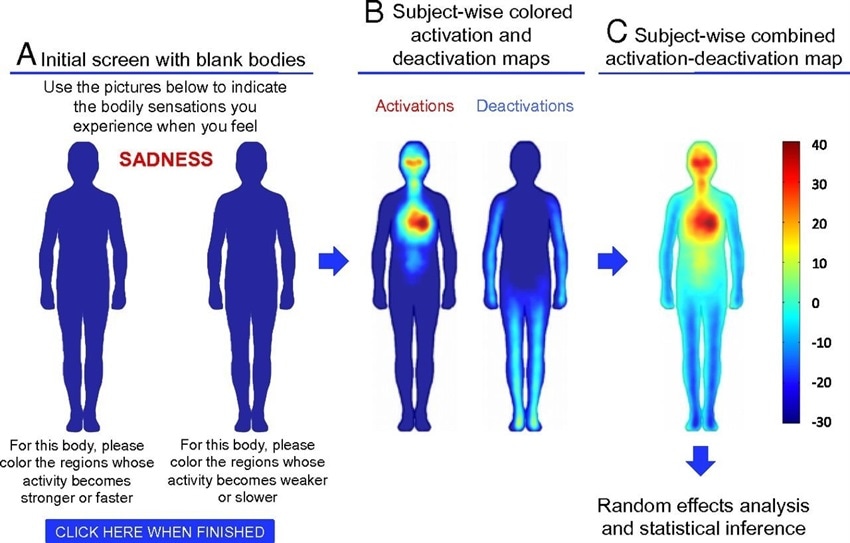 Mapping emotions in the body: Study reveals physical topography of feelings