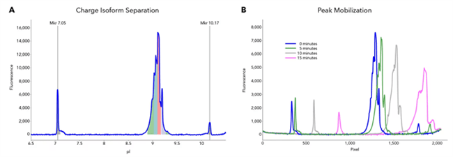 MauriceFlex™ for protein fractionation : Get Quote, RFQ, Price or Buy