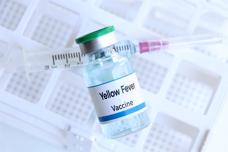 Do yellow fever vaccines truly provide effective lifelong protection ...