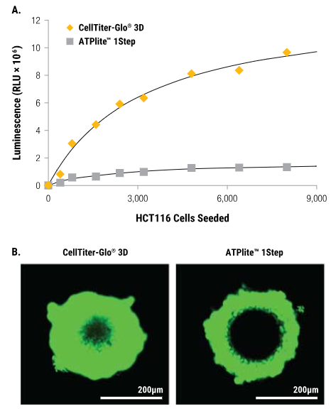CellTiter-Glo® 3D Cell Viability Assay for 3D microtissue cultures ...