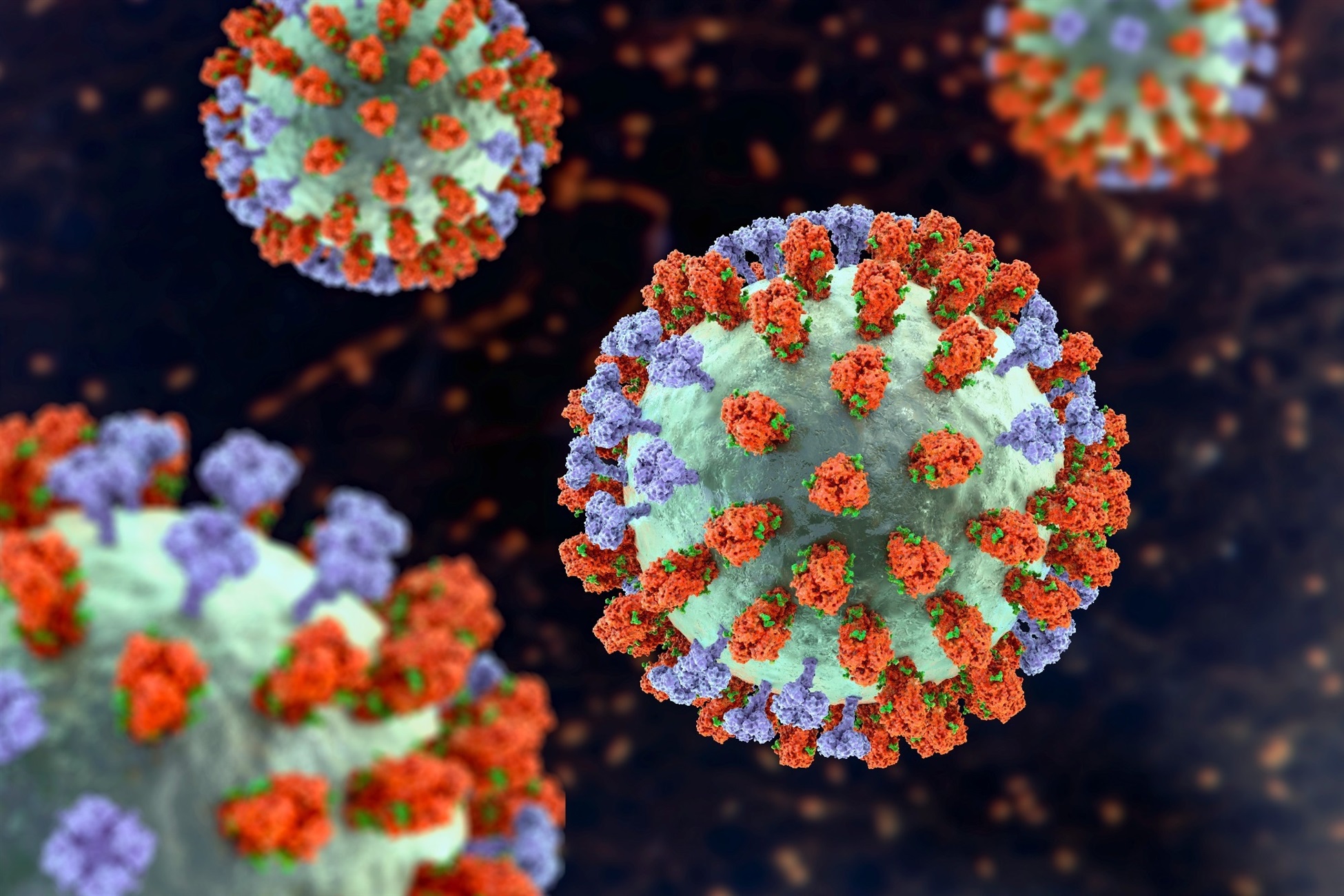 Study suggests lingering coronavirus in tissues may contribute to long ...