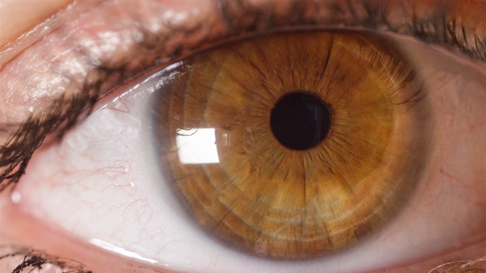 Vaping poses unexpected risks to eye health, study finds