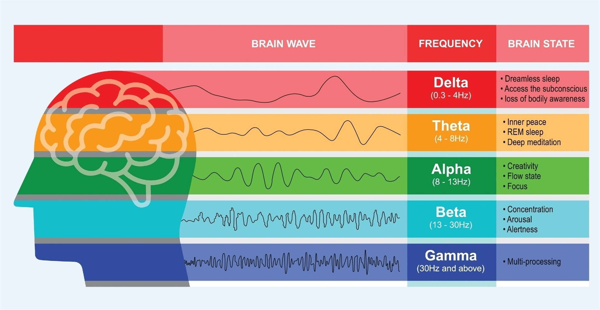 Electroencephalogram (EEG) Systems Explained