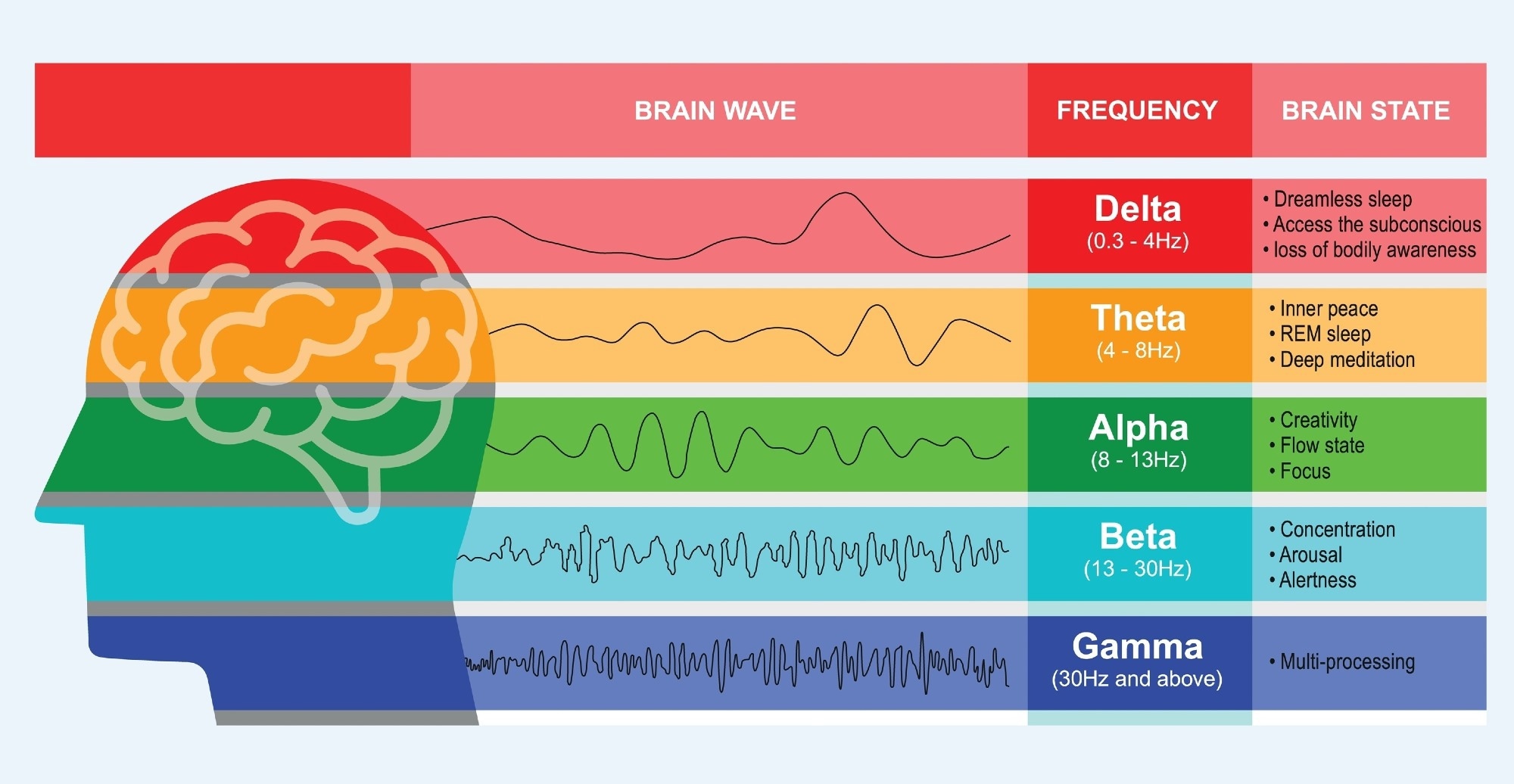 Electroencephalogram (EEG) Systems Explained