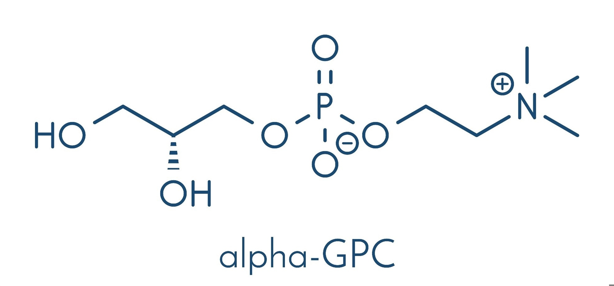 Alpha-GPC: What Science Says About Its Role in Brain Health