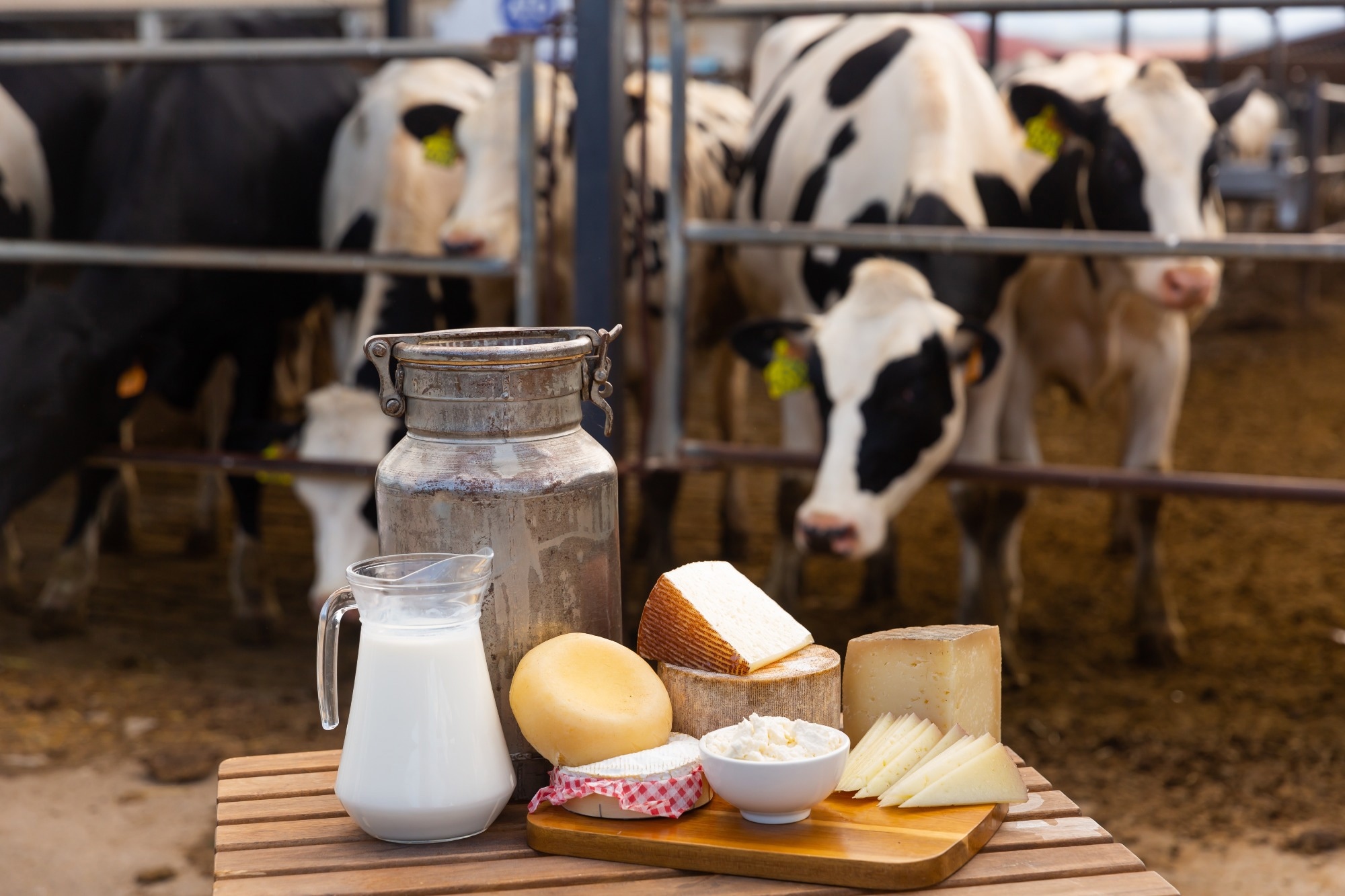 Dairy and Gut Health: The Good, the Bad, and the Controversial