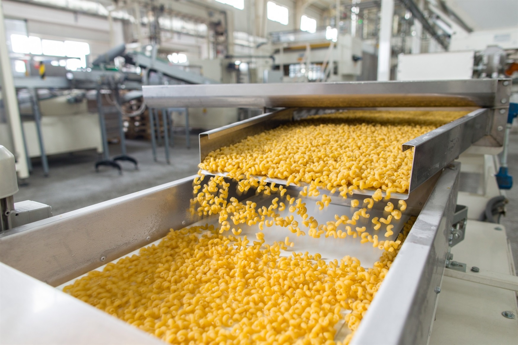 How Ultra-Processed Foods Are Made: Inside the Industry of Engineered ...