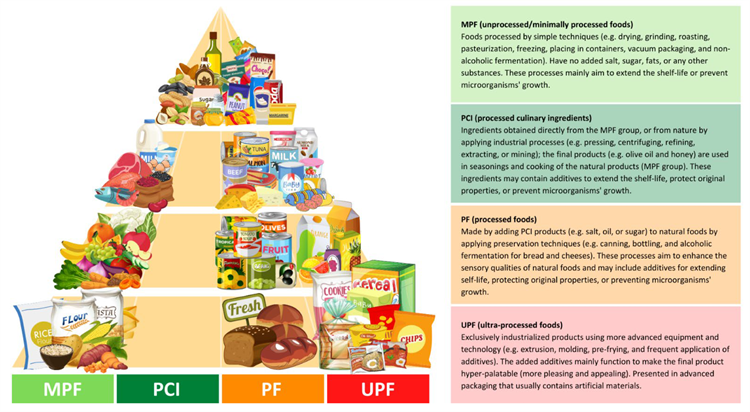 How Ultra-Processed Foods Are Made: Inside the Industry of Engineered ...