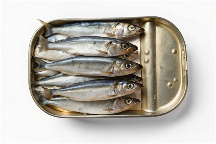 Are Sardines Good for You? Health Benefits and Nutrition Facts Explained