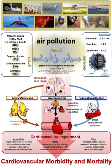 Air pollution fuels artery damage and accelerates heart disease, review ...