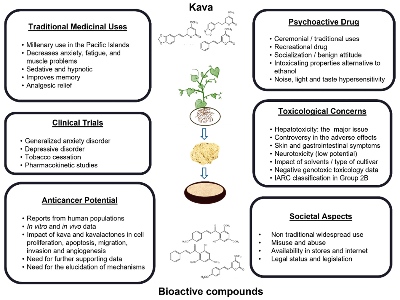 How Safe is Kava? Risks and Realities