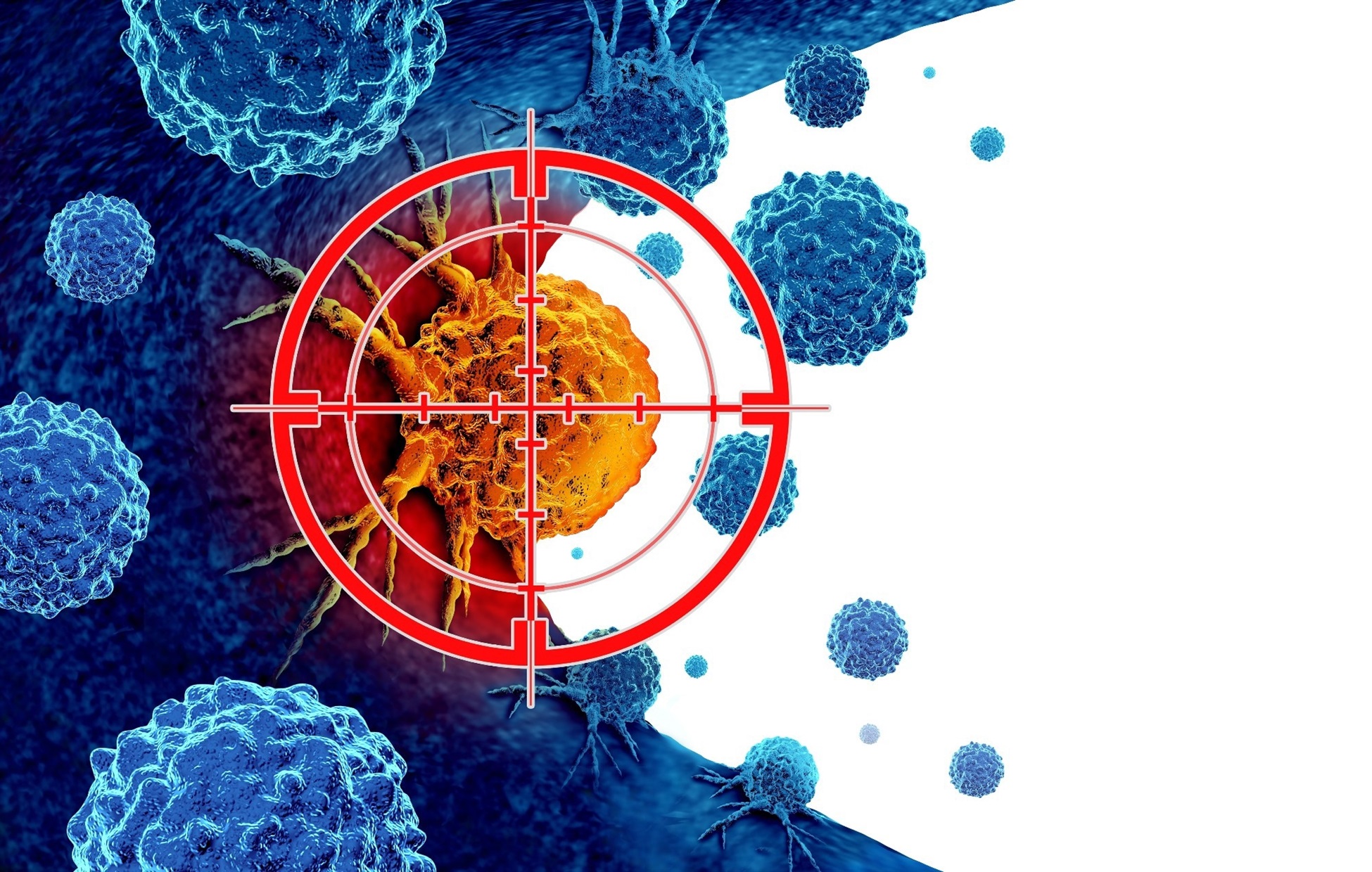 Cancer Plasticity: The Shape-Shifting Threat Challenging Modern Treatments