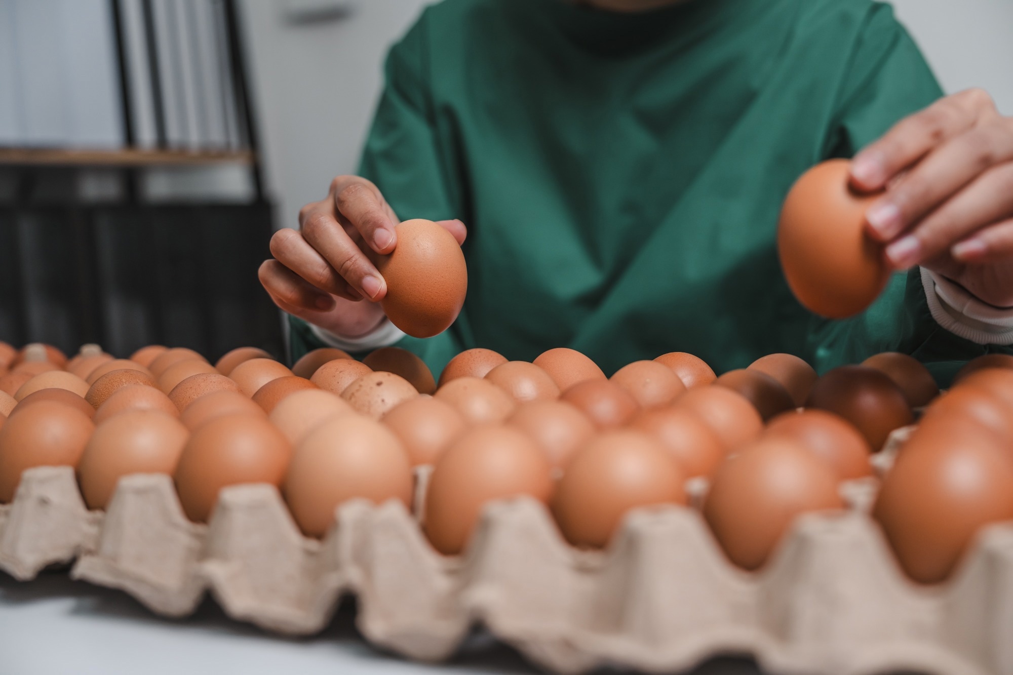 Salmonella Outbreak Linked to Shell Eggs: Scientific Perspective on the ...