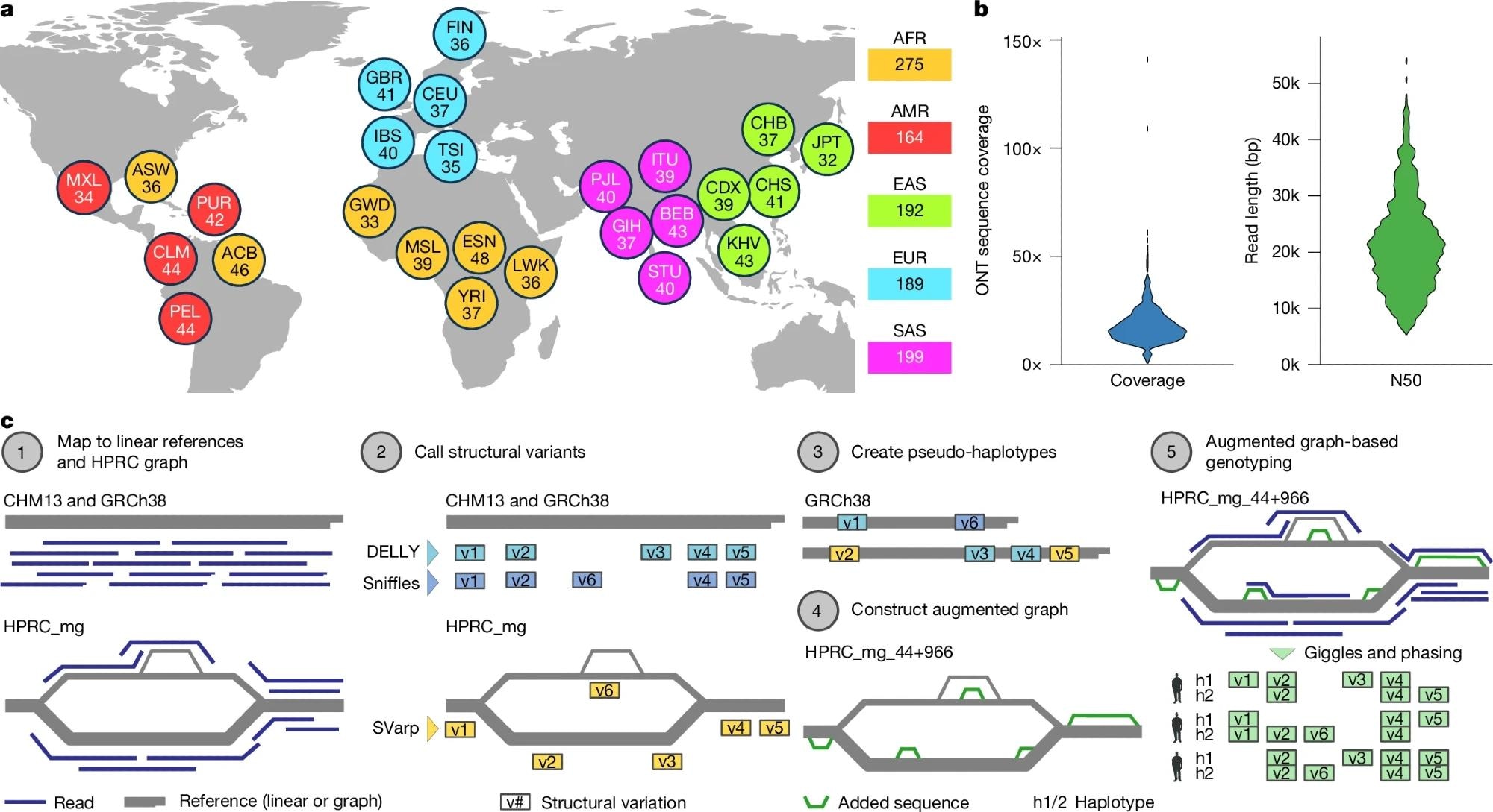 Scientists open new atlas of genetic diversity with advanced sequencing