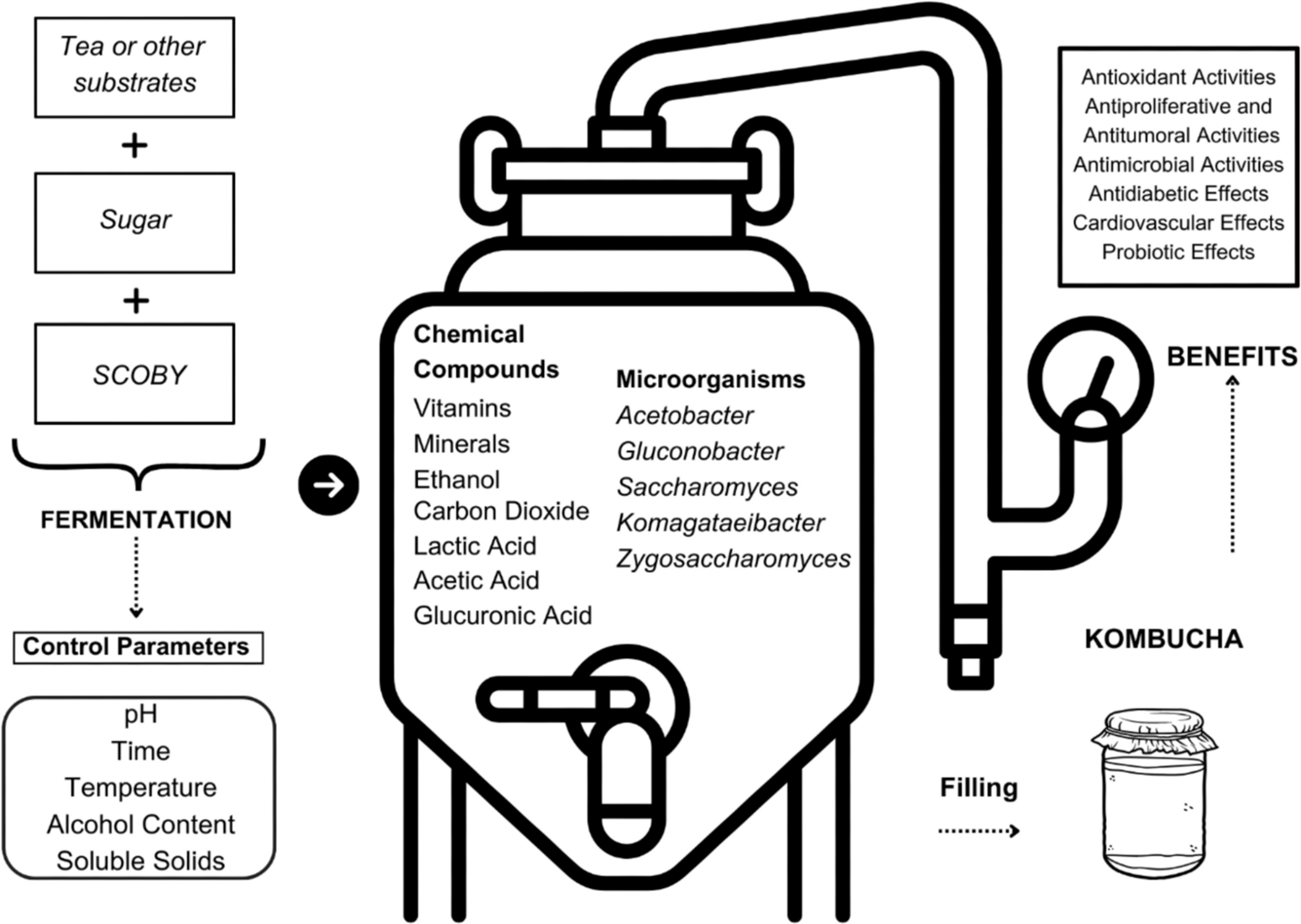 Kombucha: Polyphenols, Probiotics, and the Functional Nutrition Potential