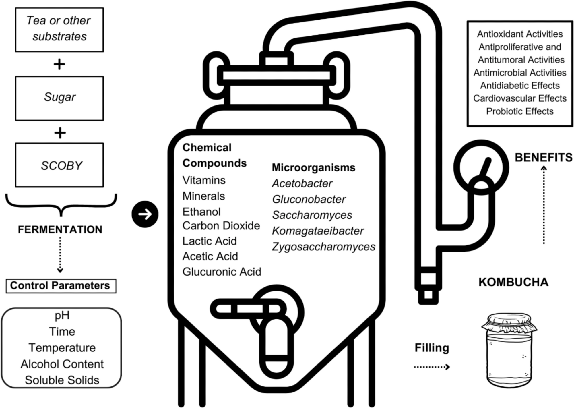 Kombucha: Polyphenols, Probiotics, and the Functional Nutrition Potential