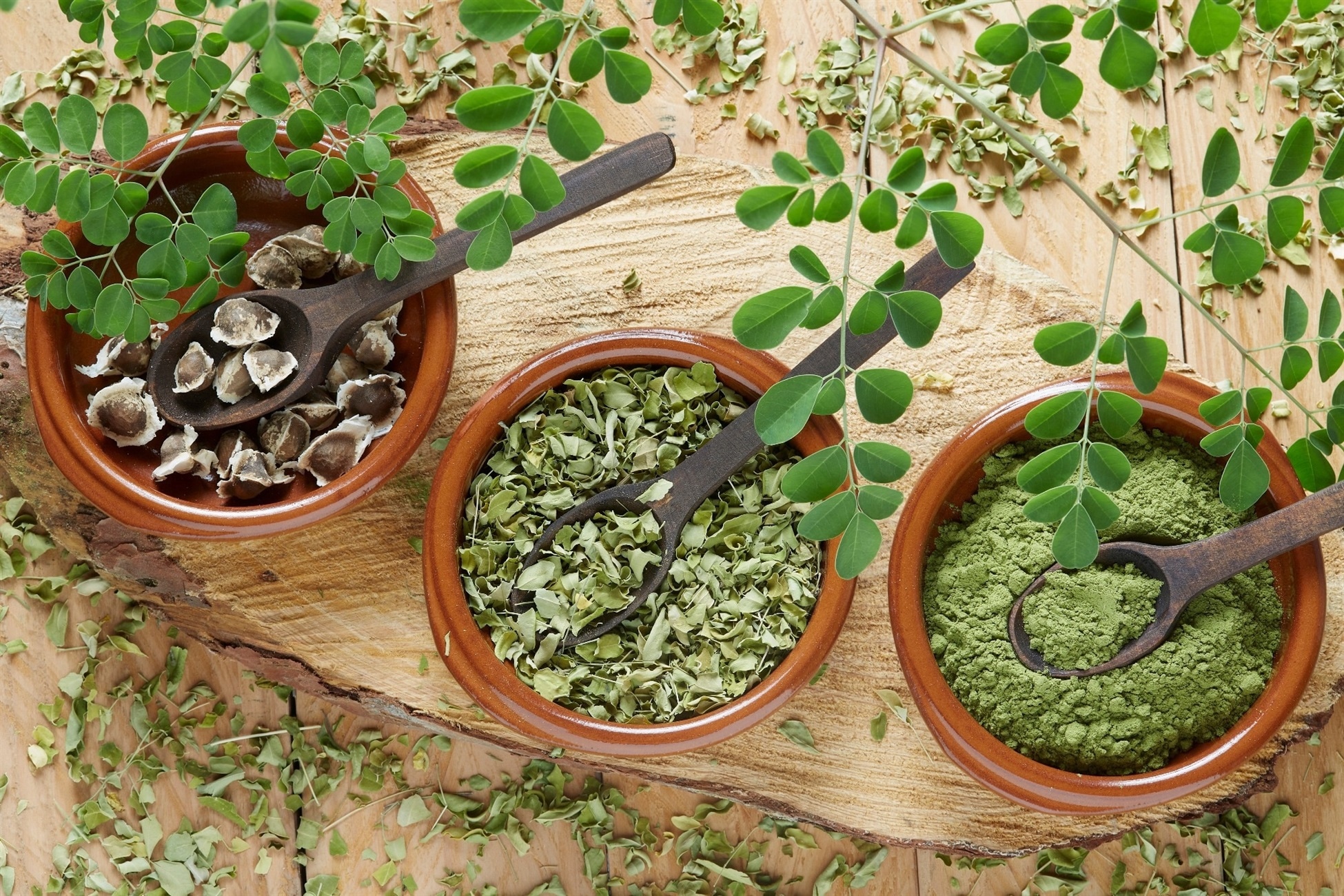 Why Moringa oleifera is Called the Miracle Tree: Health Benefits for ...