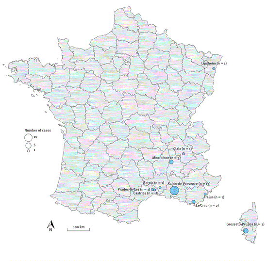 How a Réunion Island outbreak sparked France’s record chikungunya season