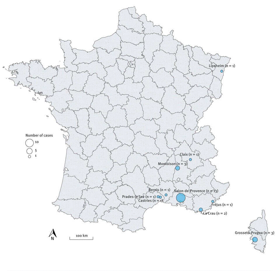 How a Réunion Island outbreak sparked France’s record chikungunya season