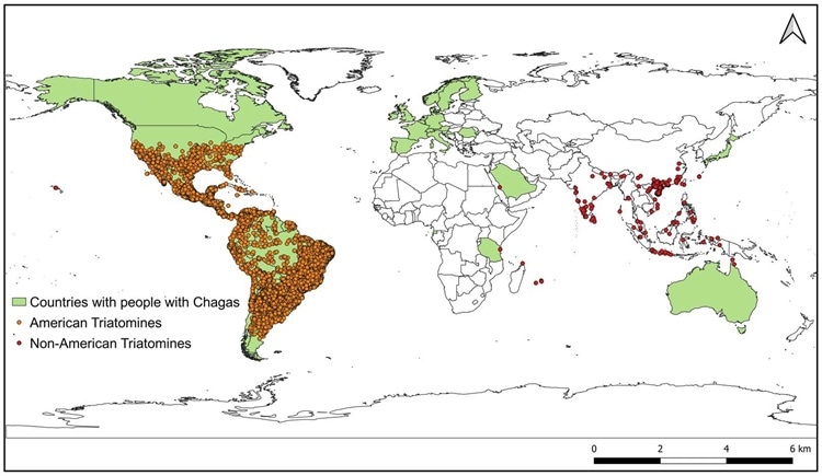 Scientists map kissing bugs beyond the Americas to assess Chagas threat