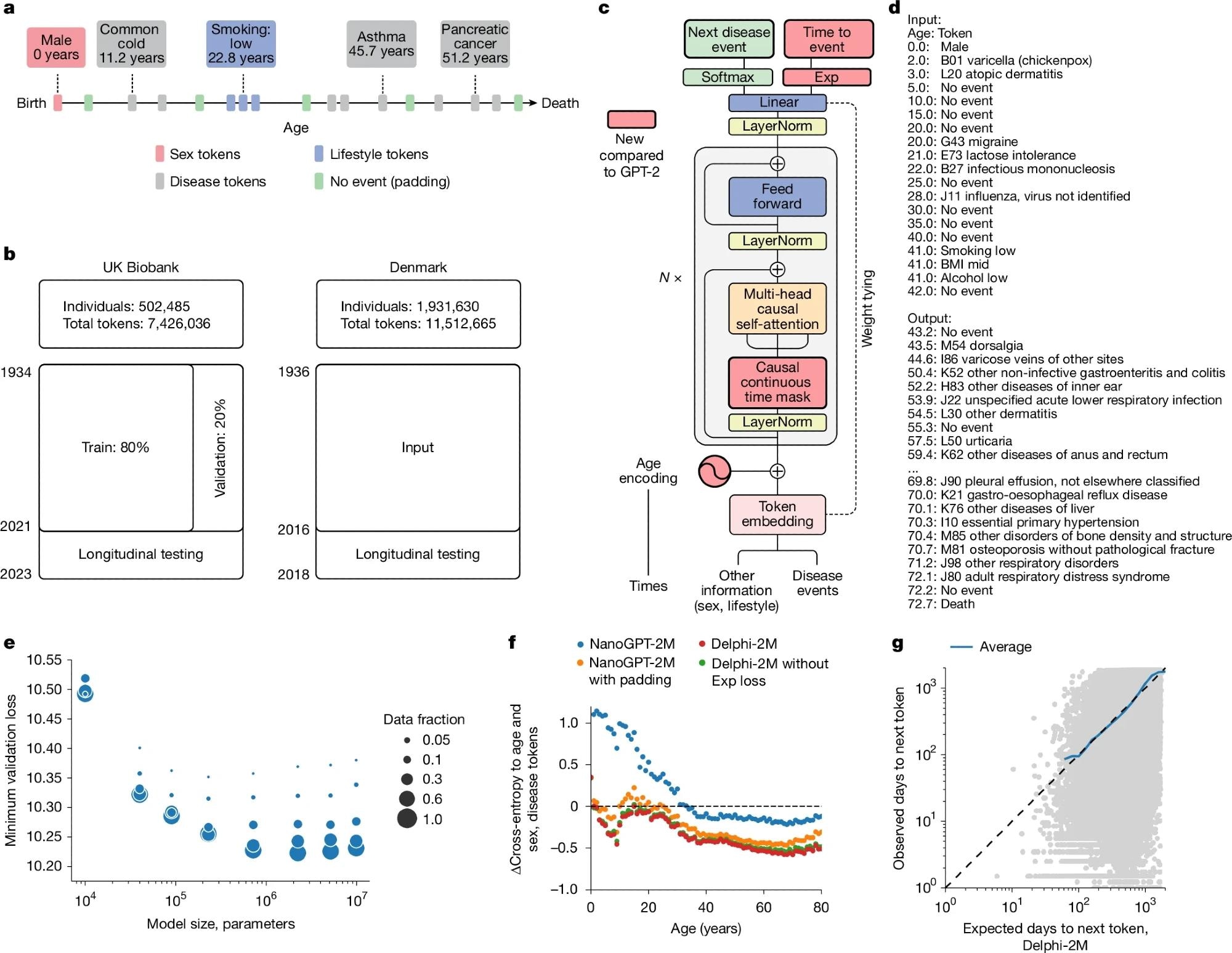 AI model maps lifetime disease risks to transform future healthcare ...