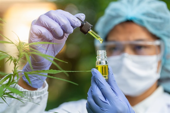 Cannabidiol shows promise for obesity and metabolic syndrome